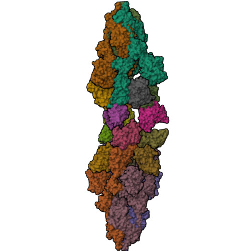 RCSB PDB - 8JMM: Structure of XBB spike protein (S) dimer-trimer in ...