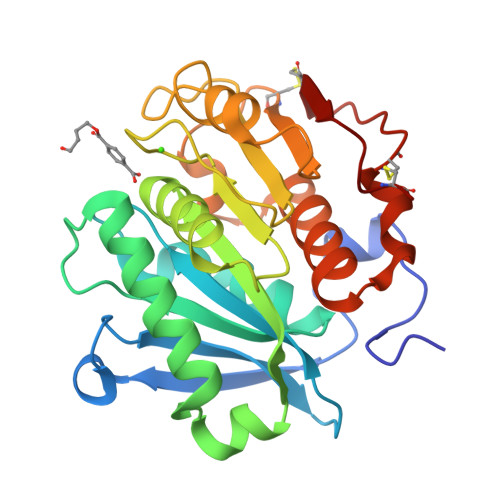 RCSB PDB - 8JMO: Structure of a leaf-branch compost cutinase, ICCG in ...