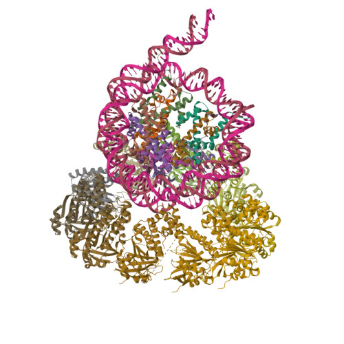 RCSB PDB - 8JNE: The cryo-EM structure of the decameric RAD51 ring ...