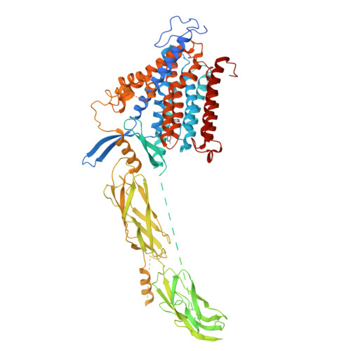 RCSB PDB - 8JP0: structure of human sodium-calciumexchanger NCX1