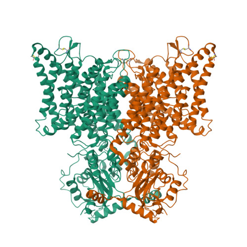 RCSB PDB - 8JPJ: Cryo-EM structure of ClC-6 apo state