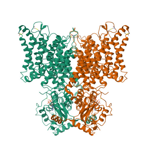 RCSB PDB - 8JPR: Cryo-EM structure of Y553C human ClC-6
