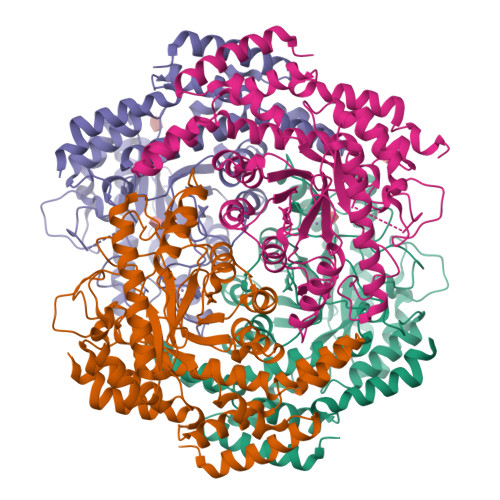 RCSB PDB - 8JQ5: Crystal structure of Lactobacillus rhamnosus L ...