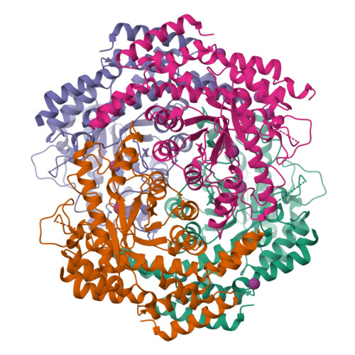 RCSB PDB - 8JQ6: Crystal structure of Lactobacillus rhamnosus L ...