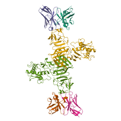 RCSB PDB - 8JQN: CryoEM structure of sNS1 complexed with Fab 2E11