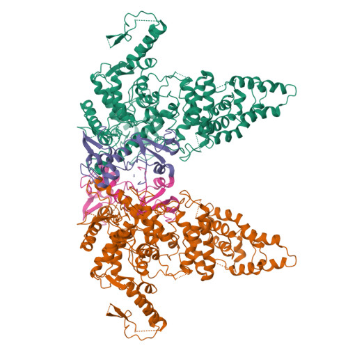RCSB PDB - 8JRR: Structure of E6AP-E6 complex in Det2 state