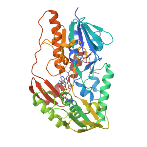 RCSB PDB - 8JSC: Structure of the FSP1 protein from Human