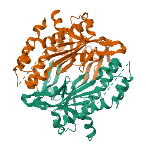 RCSB PDB - 8JSF: Crystal structure of a cytidylate cyclase from ...
