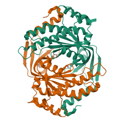 RCSB PDB - 8JSZ: Crystal structure of a uridylate cyclase from Anabaena sp.