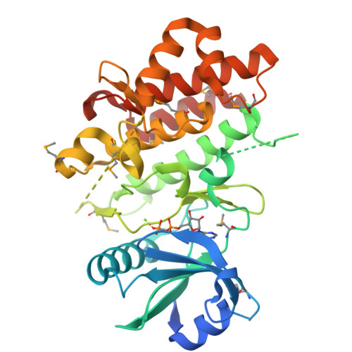 RCSB PDB - 8JUV: Crystal structure of a receptor like kinase with ADP