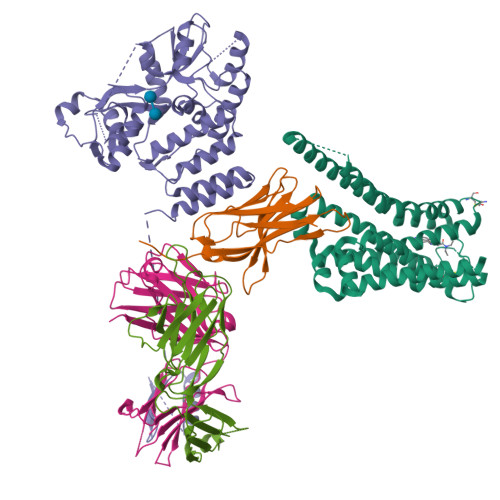 RCSB PDB - 8JXR: Structure of nanobody-bound DRD1_LSD complex