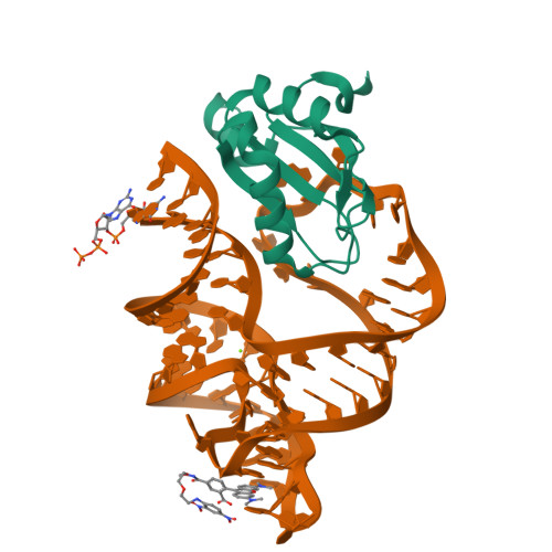 RCSB PDB - 8JY0: Crystal structure of RhoBAST complexed with TMR-DN