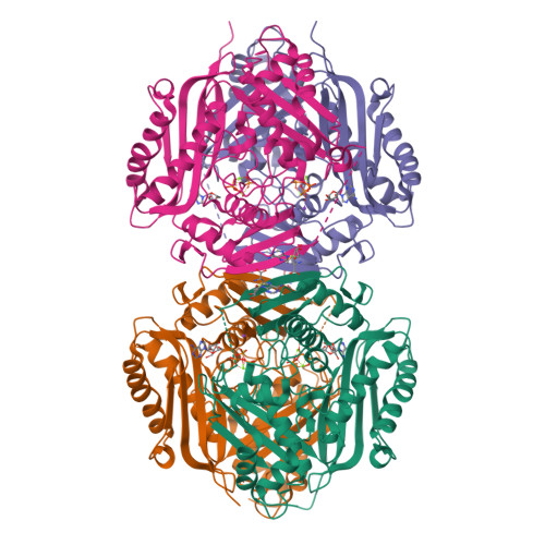 RCSB PDB - 8JZG: C. glutamicum S-adenosylmethionine synthase co ...