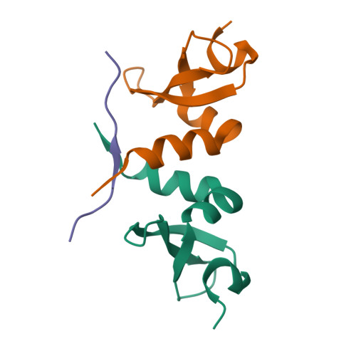 RCSB PDB - 8JZW: Cystal structure of HP1 in complex with TRIM66 peptide