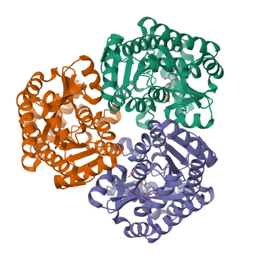 RCSB PDB - 8K06: Pseudouridine 5'-monophosphate glycosylase from ...