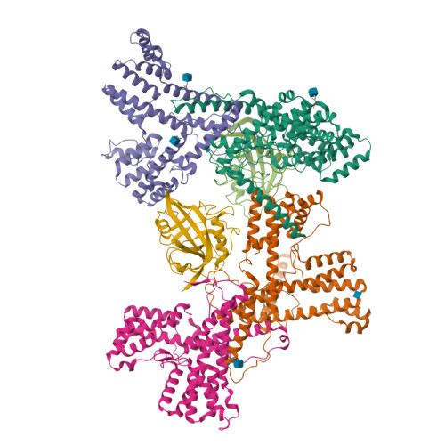RCSB PDB - 8K0I: Human collagen prolyl processing enzyme complex, P3H1 ...