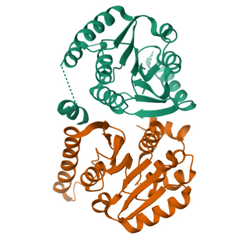 RCSB PDB - 8K1F: Crystal Structure of TrmR from Fusobacterium nucleatum