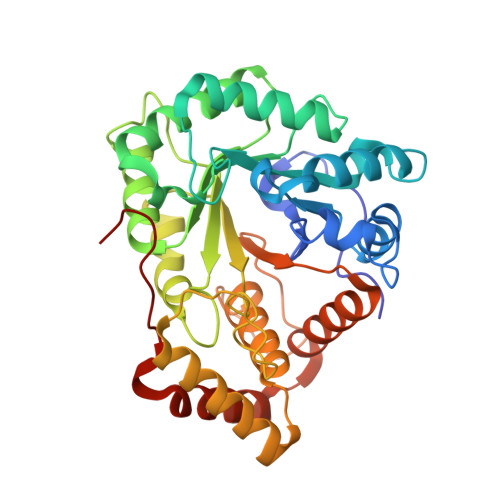 RCSB PDB - 8K1I: Crystal structure of arabinose dehydrogenase from ...