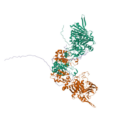 RCSB PDB - 8K2T: Solution structure of full-length HtpG in complex with ...