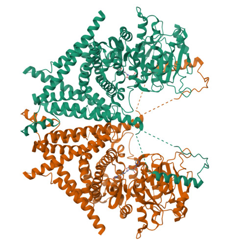 RCSB PDB - 8K3X: S. cerevisiae Chs1 in complex with Nikkomycin Z