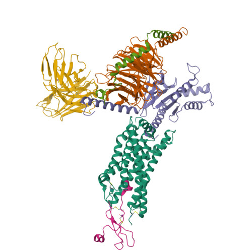 RCSB PDB - 8K3Z: Cryo-EM structure of CXCR4 in complex with CXCL12