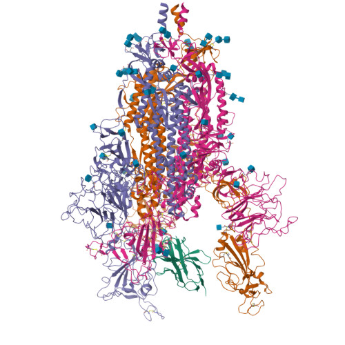 RCSB PDB - 8K47: A potent and broad-spectrum neutralizing nanobody for ...
