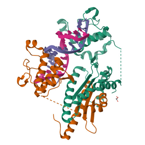 RCSB PDB - 8K4L: Crystal structure of NRF1 homodimer in complex with DNA