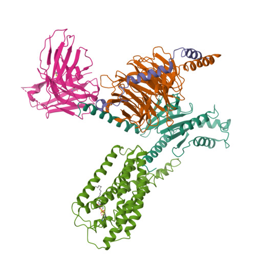 RCSB PDB - 8K4N: Structure of GPR34-Gi complex