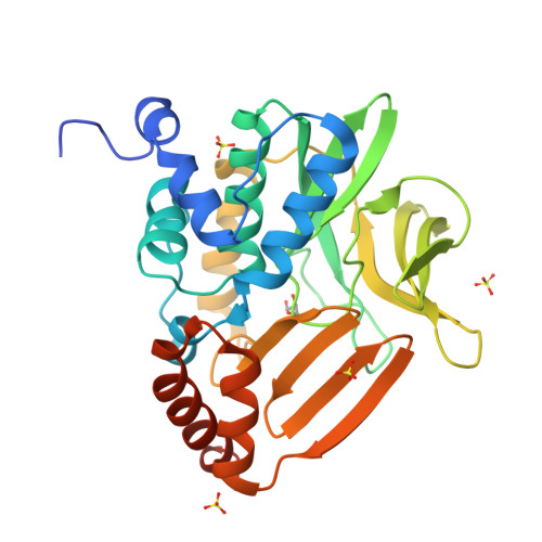 RCSB PDB - 8K51: Crystal structure of arylamine N-acyltransferase from ...