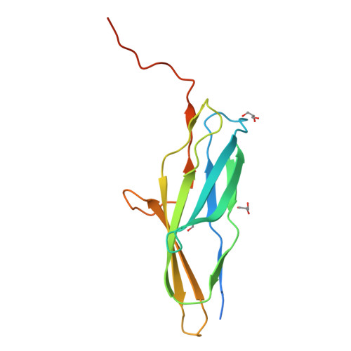 RCSB PDB - 8K6T: The minor pilin structure of FctB3 in Streptococcus