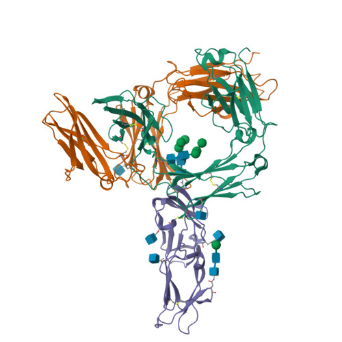 RCSB PDB - 8K7S: Human Fc epsilon RI in complex with mIgE Fc (TMD ...