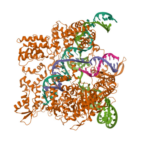 RCSB PDB - 8KAJ: Crystal structure of SpyCas9-crRNA-tracrRNA complex ...