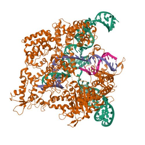 RCSB PDB - 8KAK: Crystal structure of SpyCas9 in complex with sgRNA and ...