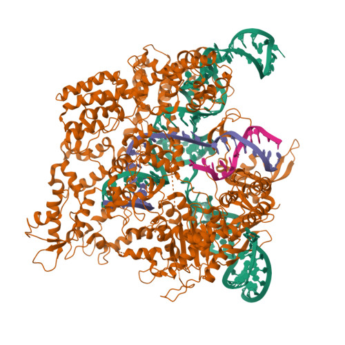 RCSB PDB - 8KAM: Crystal structure of SpyCas9 in complex with sgRNA and ...