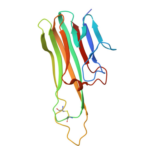 RCSB PDB - 8KB6: Crystal Structure of Canine TNF-alpha
