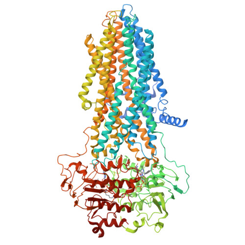 RCSB PDB - 8KCI: ATP-bound hMRP5 outward-open