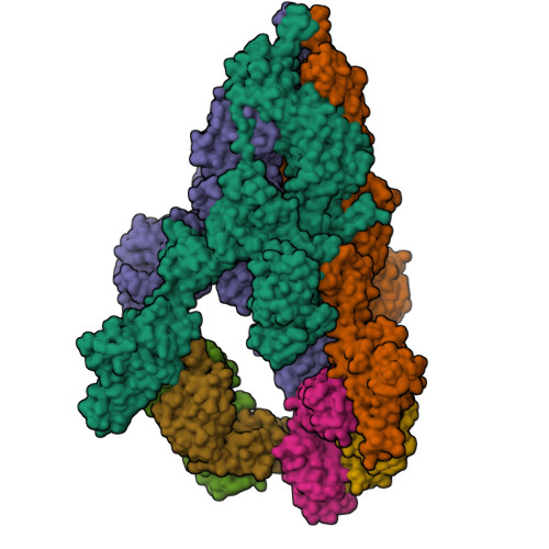 RCSB PDB - 8KDM: Structure of SARS-CoV Spike protein complexed with ...
