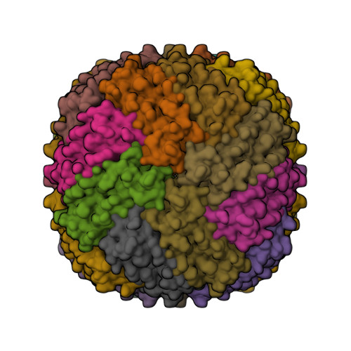 RCSB PDB - 8KFD: Ferritin drug carrier(FDC) for encapsulated platinum ...