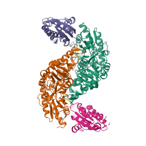 RCSB PDB - 8ODQ: SufS-SufU complex from Mycobacterium tuberculosis