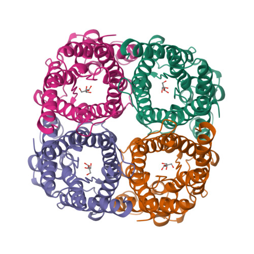 RCSB PDB - 8OFZ: Molecular Mechanism of trypanosomal AQP2