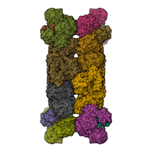 RCSB PDB - 8OH5: Cryo-EM structure of the electron bifurcating ...