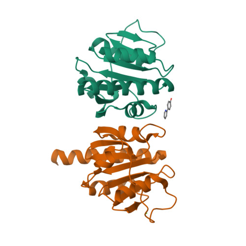RCSB PDB - 8OHG: PanDDA analysis group deposition -- CdaA in complex ...