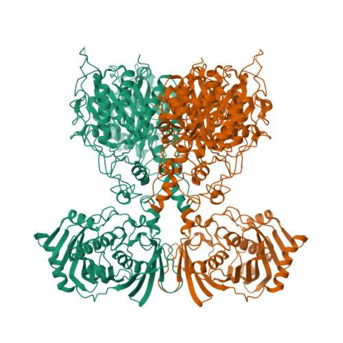 RCSB PDB - 8OII: Cryo-EM KSB domain of RhiE from Burkholderia rhizoxinica
