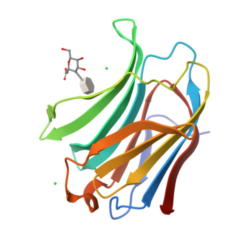 RCSB PDB - 8OJI: Galectin-3 in complex with Methyl 2,6-anhydro-3-deoxy ...