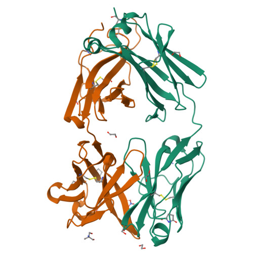 RCSB PDB - 8OJT: Crystal structure of the human IgD Fab - structure Fab2