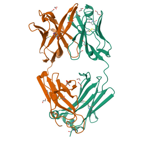 RCSB PDB - 8OJV: Crystal structure of the human IgD Fab - structure Fab4