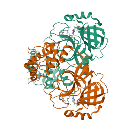 RCSB PDB - 8OKC: SARS-CoV2 NSP5 in complex with a GC-376 based ...