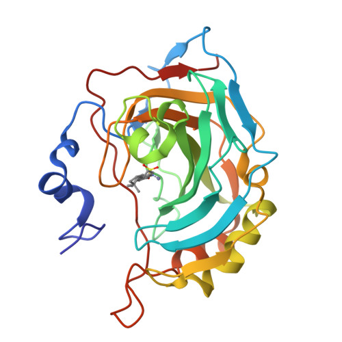 RCSB PDB - 8OLF: Carbonic Anhydrase IX like mutant in Complex with ...