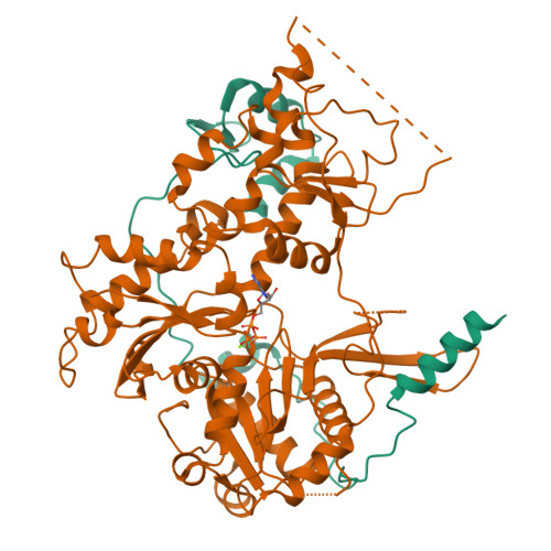 RCSB PDB - 8OOF: CryoEM Structure INO80core Hexasome complex Arp5 Ies6 ...