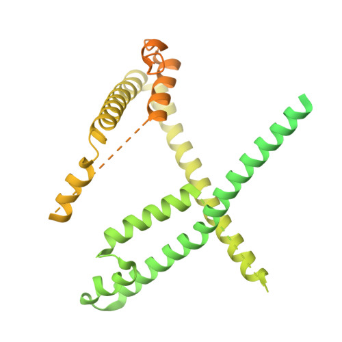 RCSB PDB - 8OOK: CryoEM Structure INO80core Hexasome complex Arp5 ...